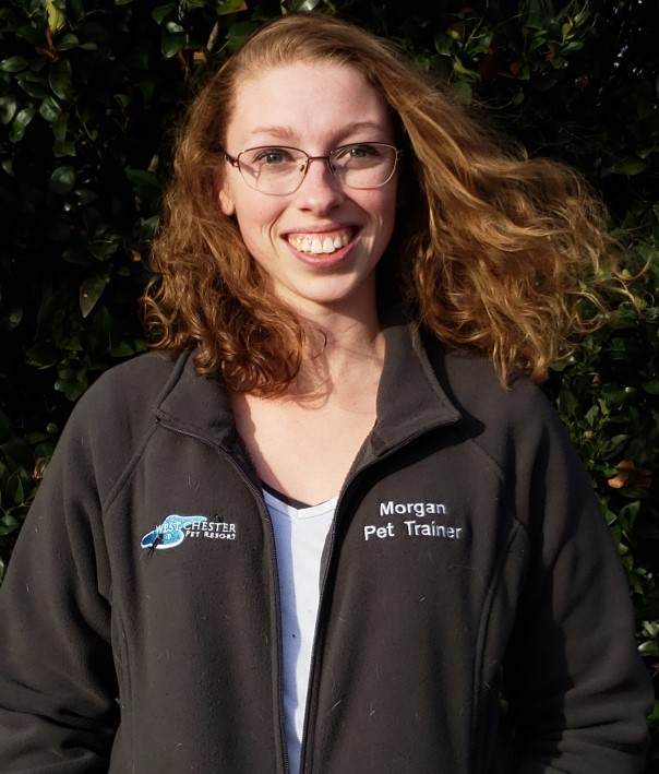 Veterinarian and Boarding Staff - West Chester Pet Resort